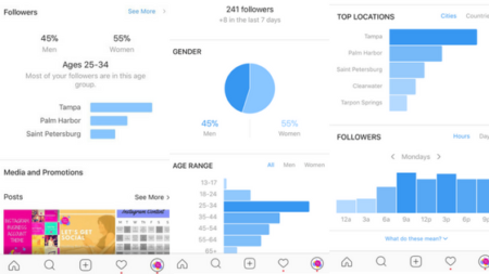 Instagram Insights | Social Speak Network Social Media + Digital ...